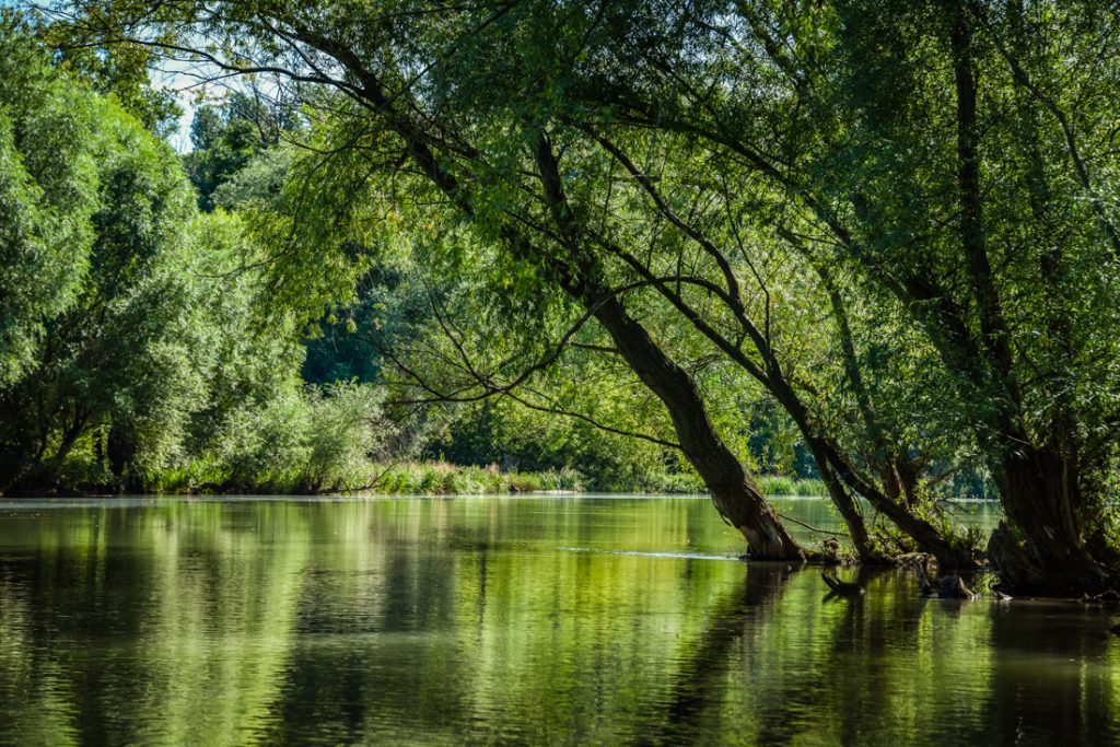 Tonava – luontoarvoja ja maailmanperintökohteita - Suomi – Unkari Seura